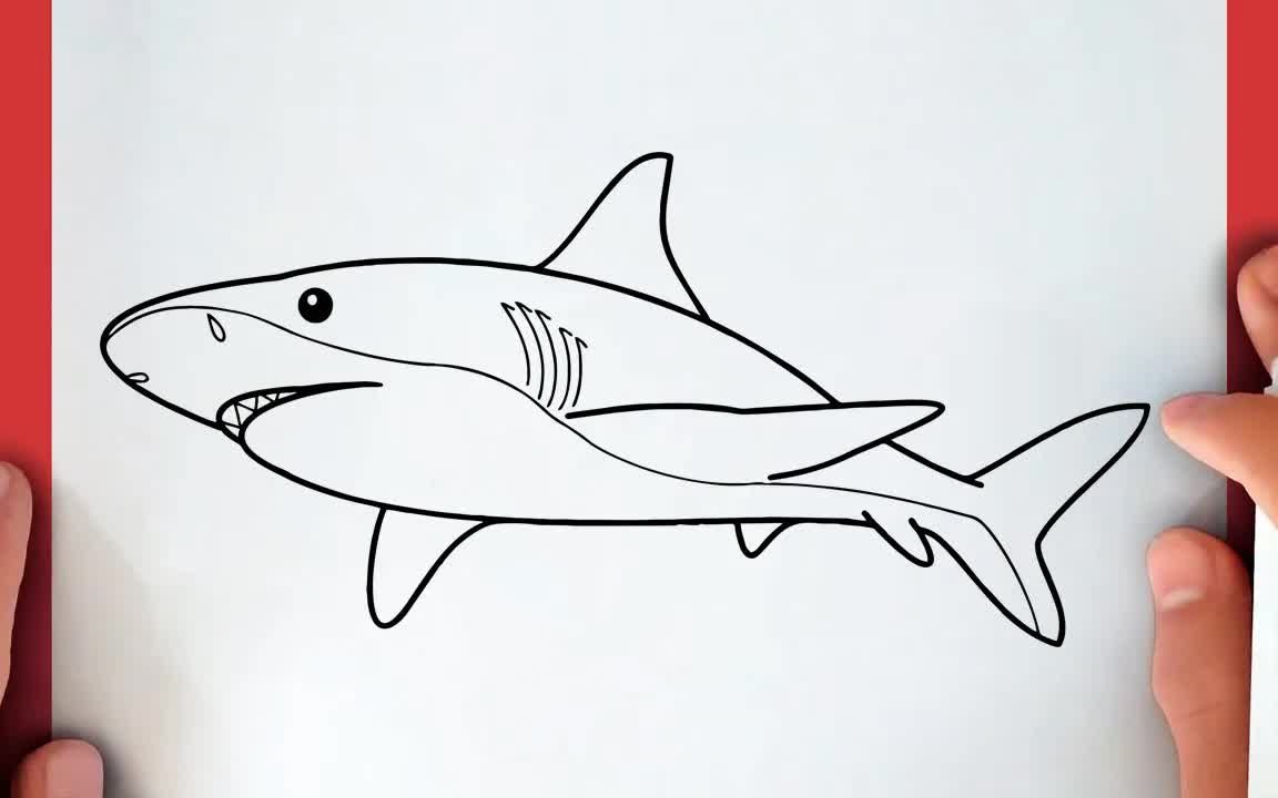【简笔画教程】教你画可爱鲨鱼!