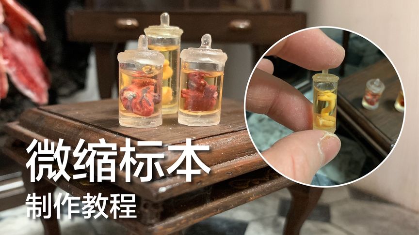 【DIY手工教程】暗黑系微缩模型,标本蛇+心脏制作教程!