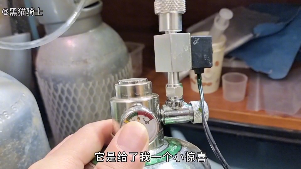 水草爬地矮珍珠养不好?试试我这种方式,也许会有惊喜!#水草缸