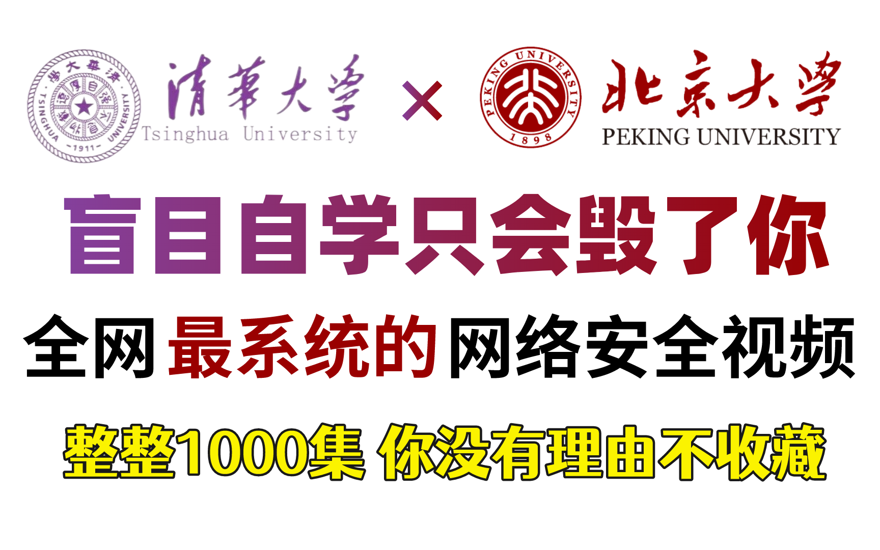 【比刷剧还爽!】清华&北大强强联手出品网路安全教科书级别教程,...