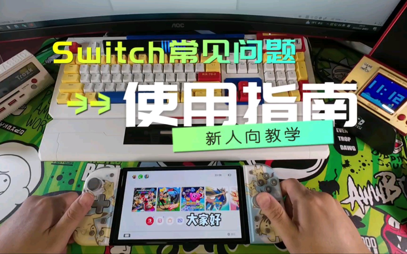Switch使用常见问题指南(新人向-保姆级教学)