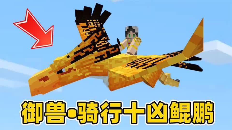 我的世界完美大陆17:终于更新御兽,骑着十凶鲲鹏就是帅!