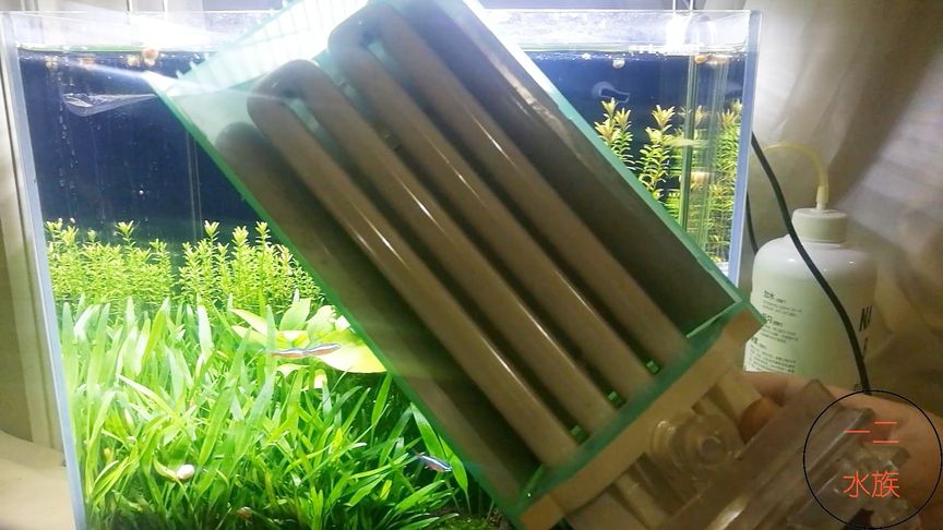 草缸究竟该用LED灯?还是T5灯管?带你看懂自己鱼缸适合哪一种