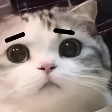 知秋の二向箔 