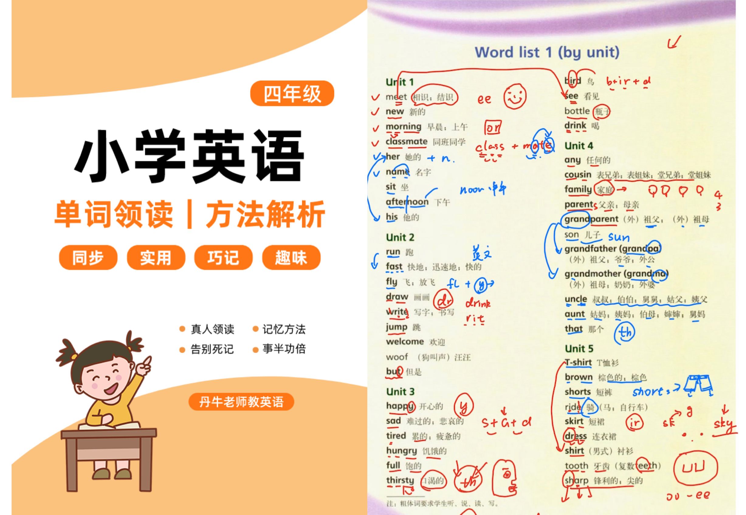 小学英语四年级单词逐一领读,并且教你单词的巧记方法!