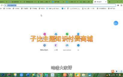 WordPress主题-zibll子比主题知识付费商城搭建 噜噜噜源码站超详细
