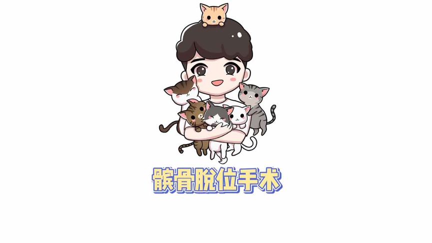 髌骨内脱位常见于贵宾 比熊等小型犬 有疑似症状的要注意哦~