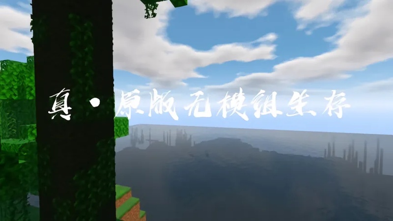 MC纯生存无模组生存:意外进入奇异矿洞,在矿洞下面挖到大量铁矿