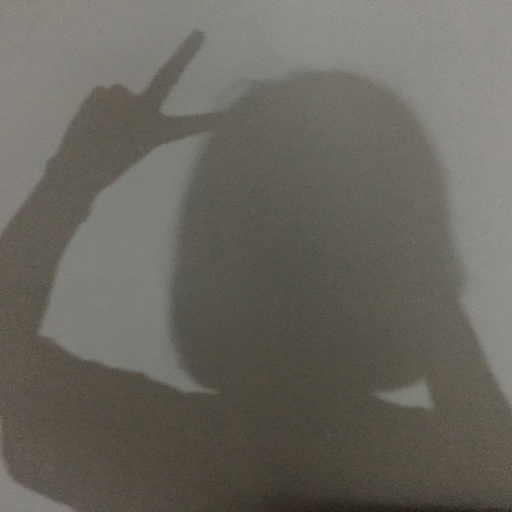 沈夏sherl 