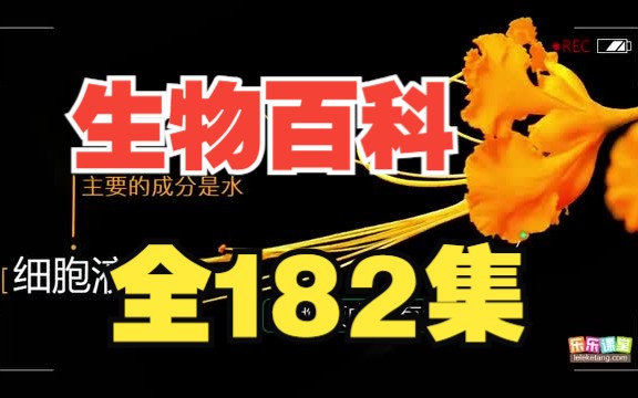 【全182集】 适合6-12岁孩子 生物启蒙 搭建一个神奇的生物世界 中小...