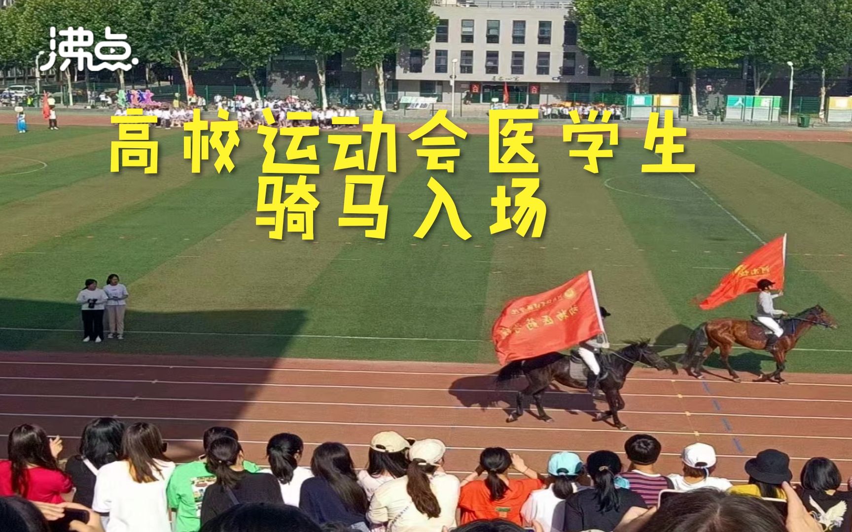 高校运动会医学生骑马入场 网友直呼霸气