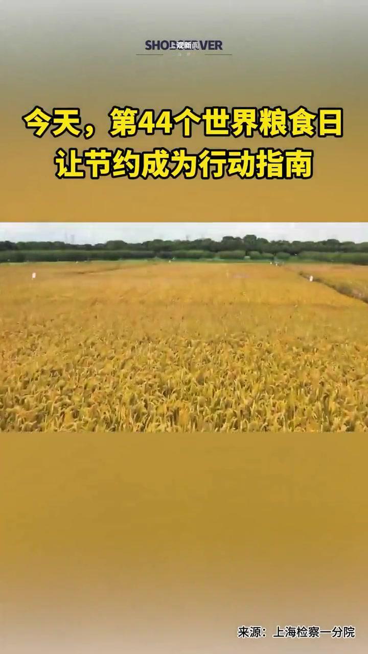今天,#第44个世界粮食日让节约成为行动指南