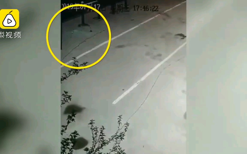 罚得好!嫌下楼扔垃圾太麻烦,男子从10楼扔下3个啤酒瓶被判刑3秒