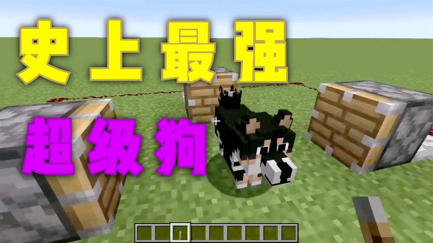 【我的世界】ߑ�ߑ�如何制作超级秘密无敌大狗狗~