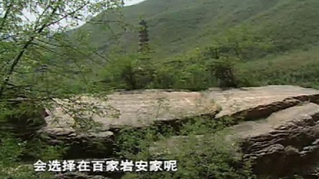 竹林七贤之1--聚会701