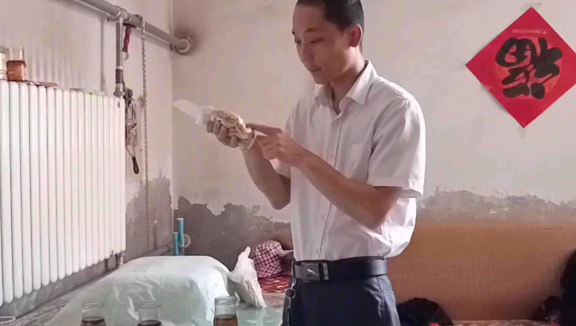 老家的土地上种点蔬菜,都种的什么样的蔬菜?