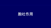 胞吐胞吐