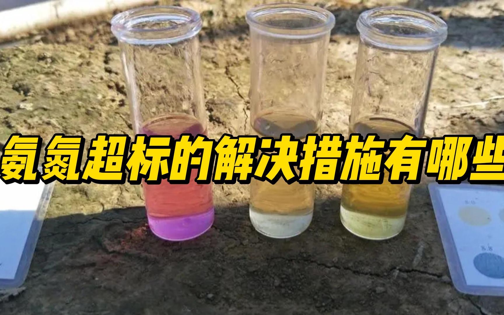 氨氮超标的解决措施有哪些?