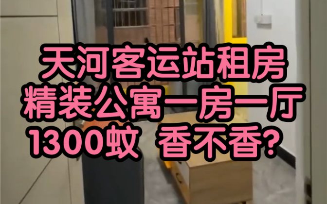 广州租房 天河客运站 1300文公寓一房一厅