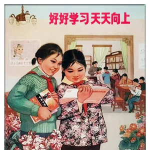 胡图蛋老师 