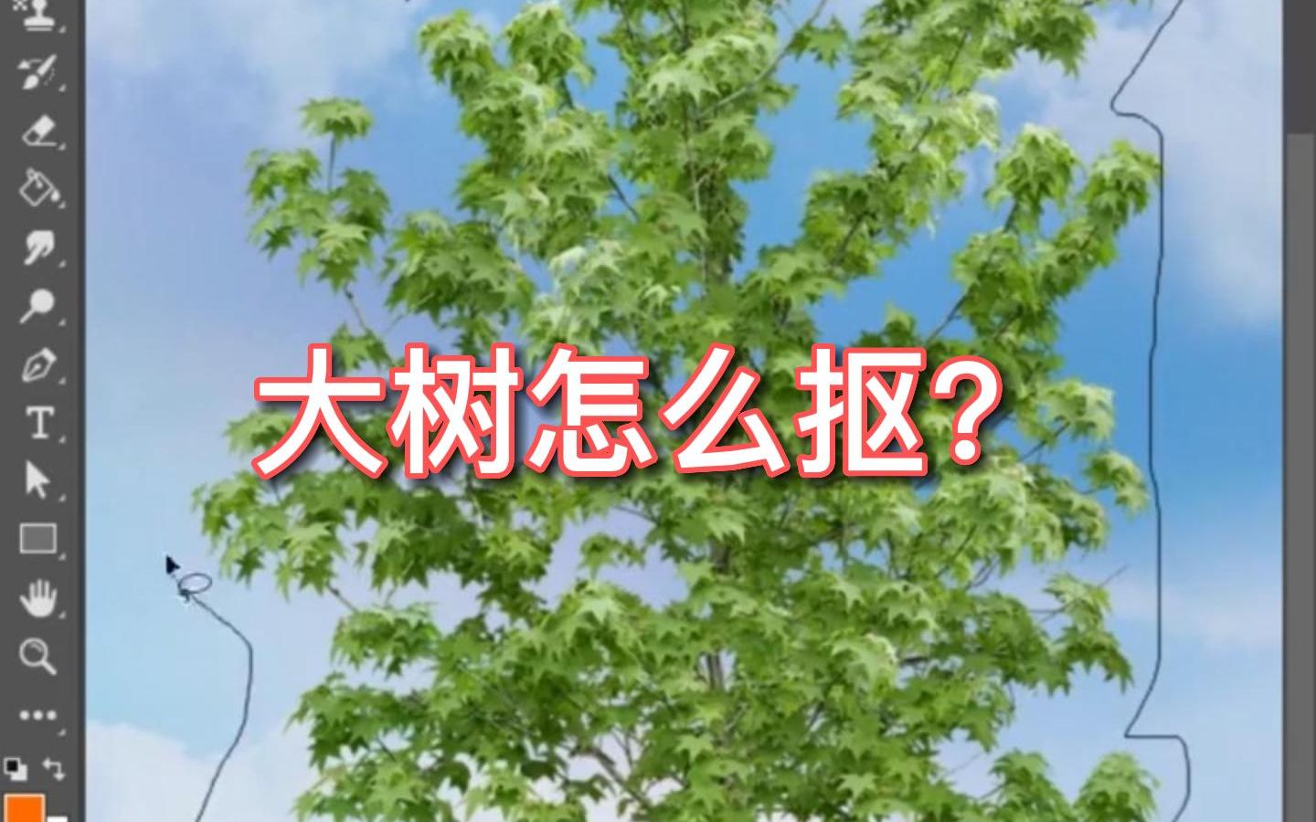 【PS小技巧】像这样的大树怎么抠呢?