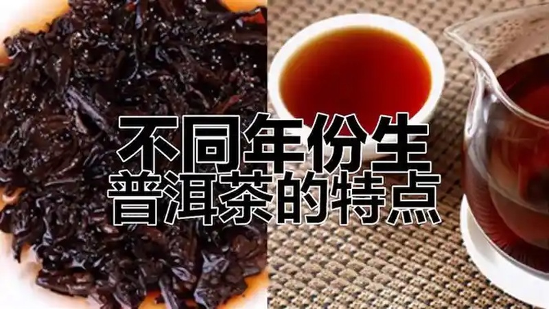 生普洱茶的陈化年限与口感变化