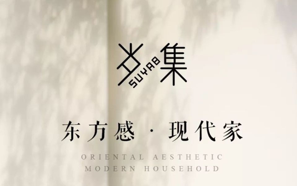 以岁集为例,大道恒美是怎么做家具品牌的?