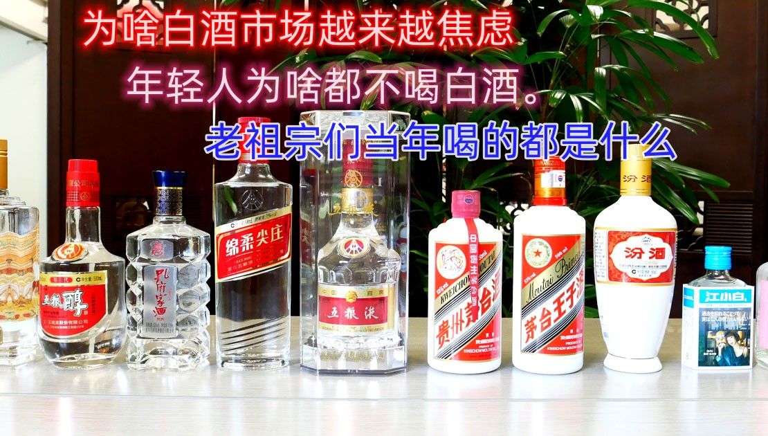 码农说 第五十四期 聊一聊白酒市场,为啥没人喝了,老祖宗们喝的究竟是...