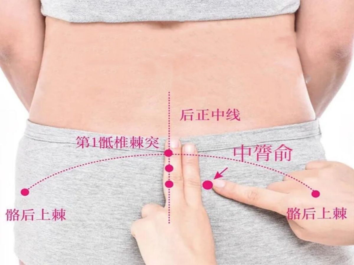 109、足太阳膀胱经 — 中膂穴 — 缓解腰肌劳损
