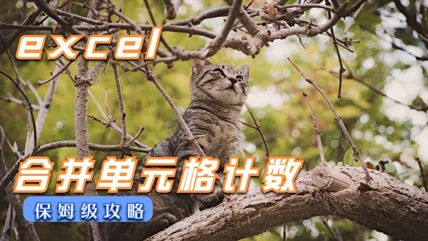 Excel综合应用(34):快速统计合并单元格的合并数量