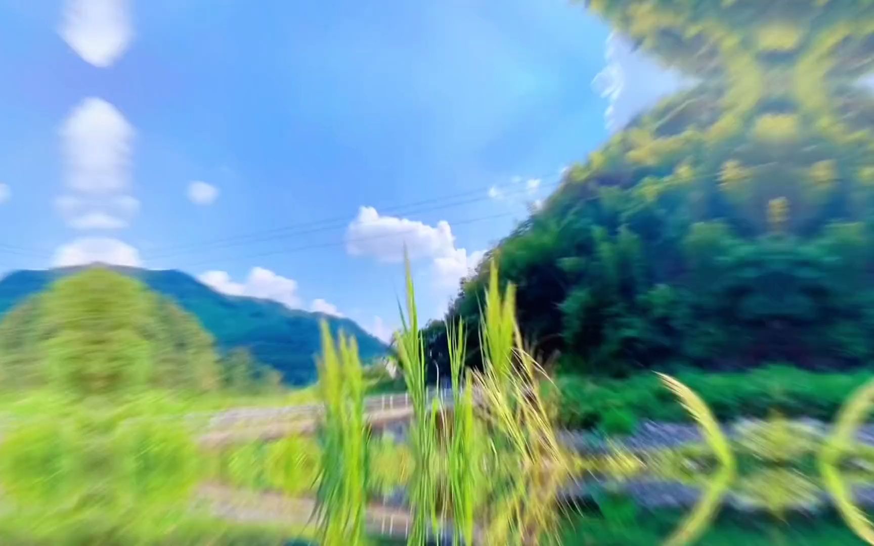 今天是5月16日星期一,早呀,新的一周,新的开始,最能让生活甜蜜的, 不是...