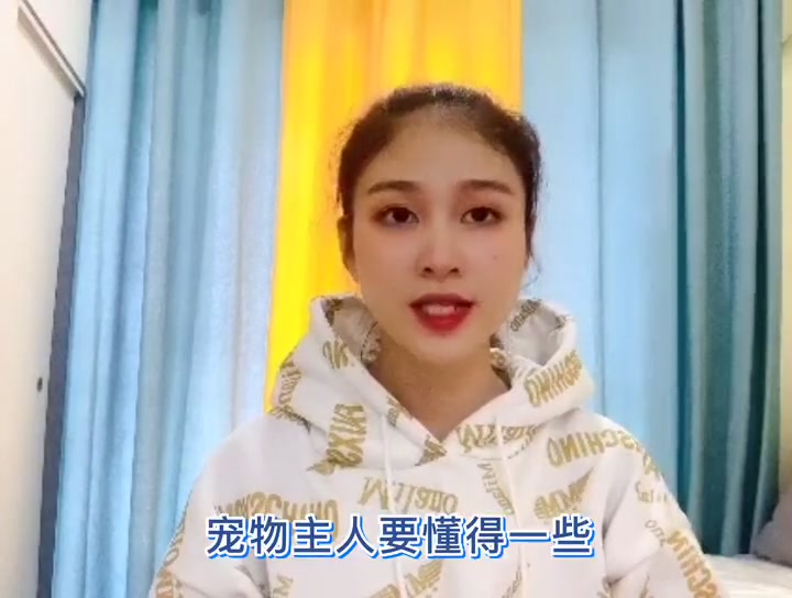 狗狗受伤了怎么处理伤口