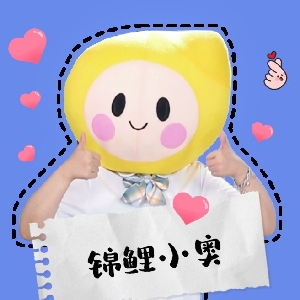 锦鲤东小奥 