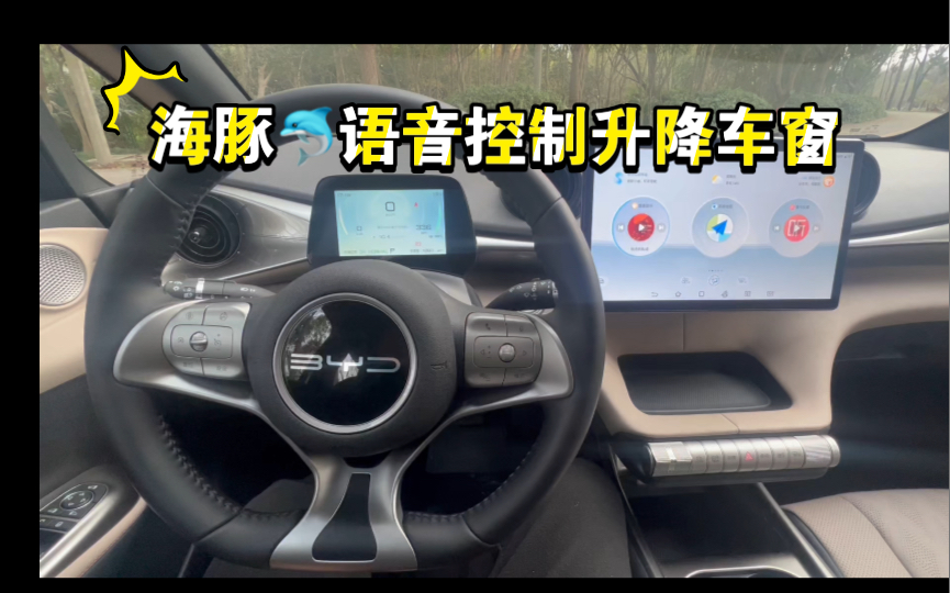 比亚迪海豚2023款时尚版语音控制升降车窗