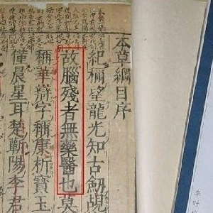 南亩农夫210 