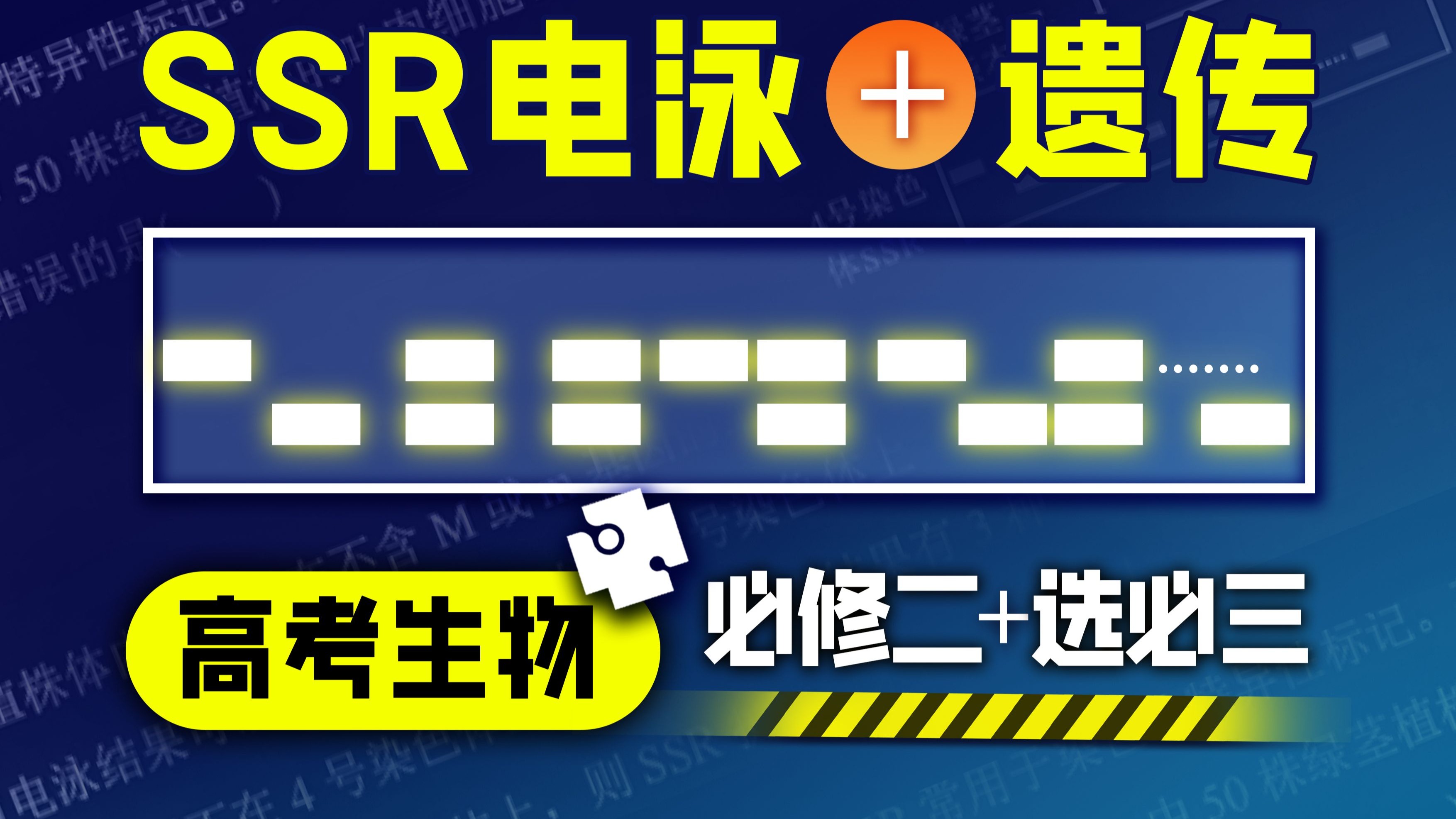 【高考生物组合考点】SSR电泳+遗传
