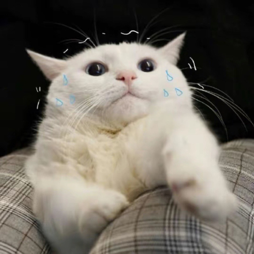 祖安胖虎酱 