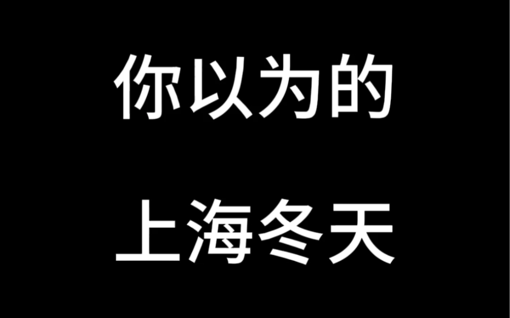 你以为的上海冬天