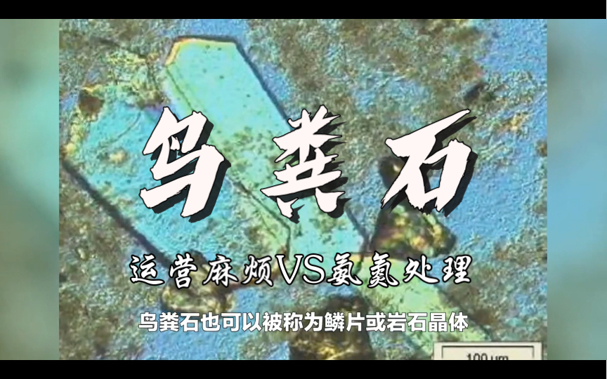 鸟粪石详解!污水处理阴阳石