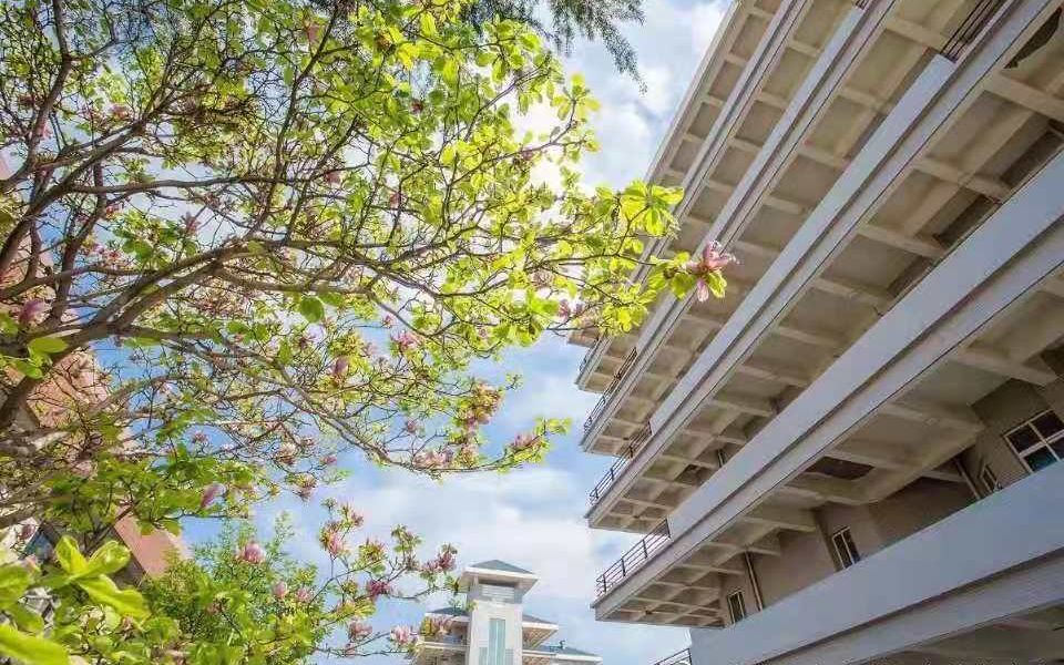 华北电力大学保定校区电力工程系部分优秀寒假社会实践成果展示