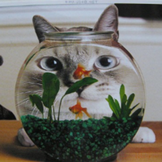 专业手机测评10年