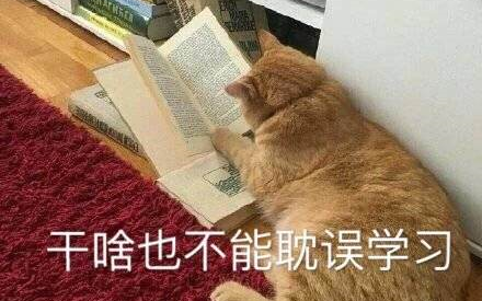 姐妹们一起学习吗?(工业企业会计电算化实操2)
