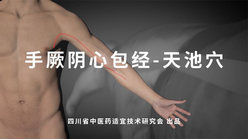 398个穴位,你都知道吗?手厥阴心包经-天池穴