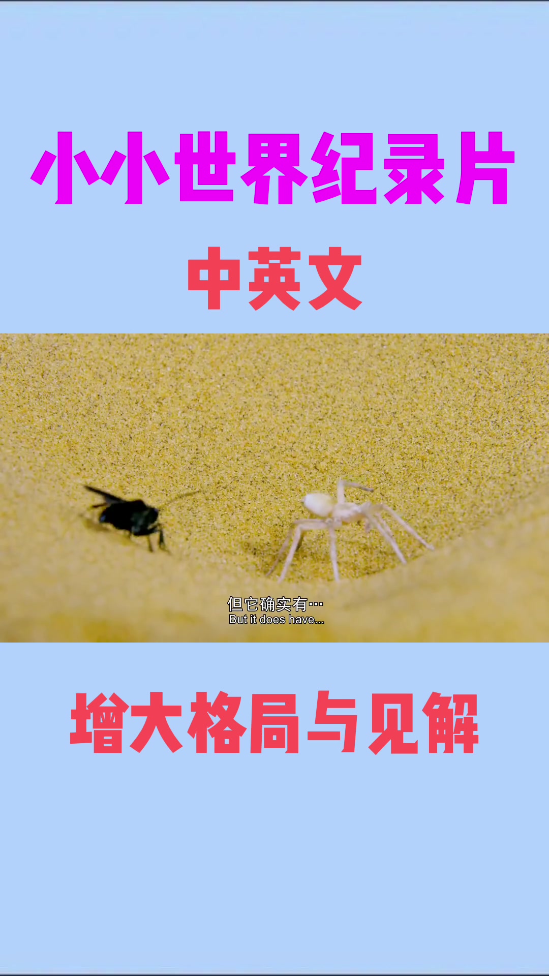 央视推荐的10部纪录片,喂大的孩子格局太高