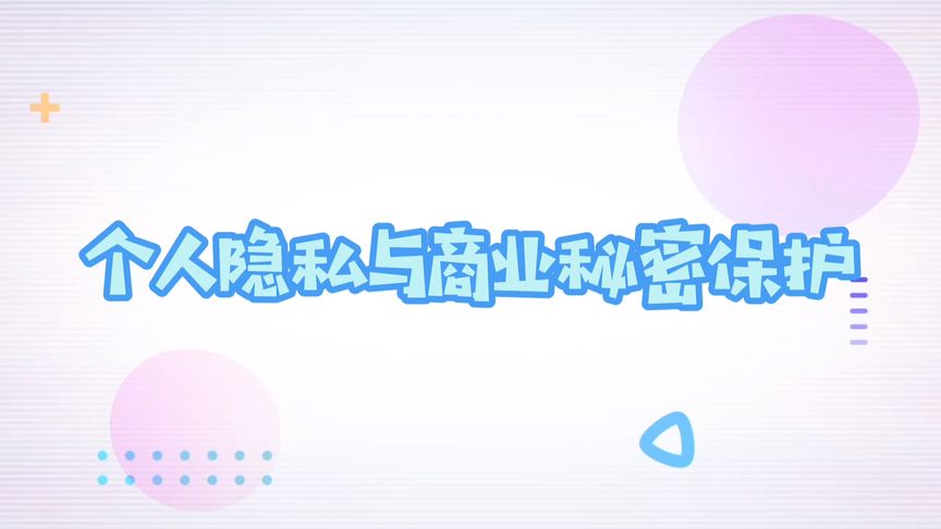个人隐私与商业秘密保护