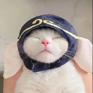 真猪蕾蕾 