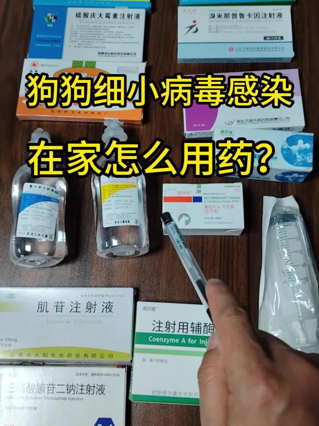 狗狗细小在家怎么治疗? #狗狗细小病毒 #细小 #狗狗呕吐 #狗狗拉稀#...