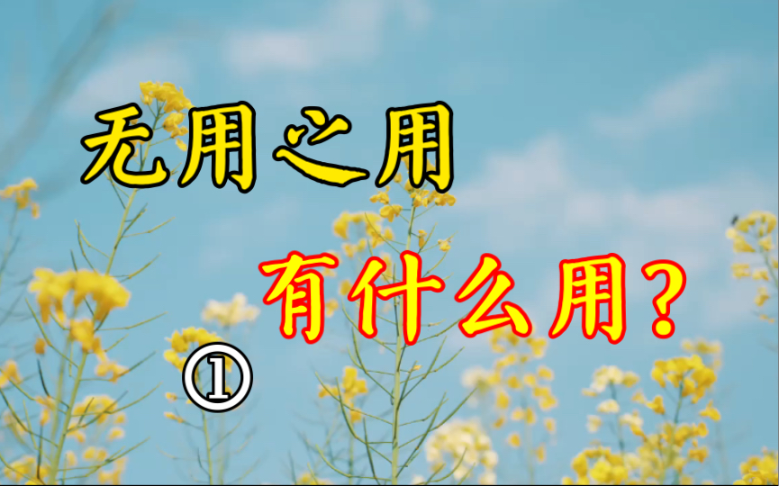 无用之用是什么用?