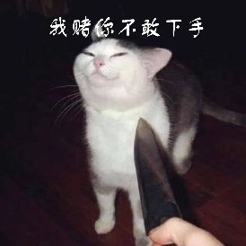 一般般的二十二 
