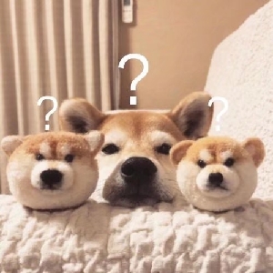em咯 